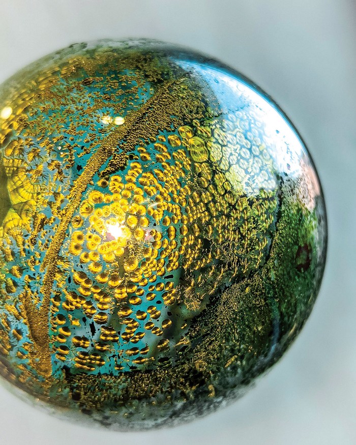 Science Photography Contest