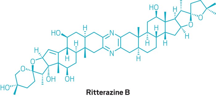 Chemists find path to potent anticancer compound