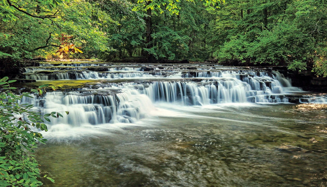 Pesticide breakdown products found in hundreds of US streams