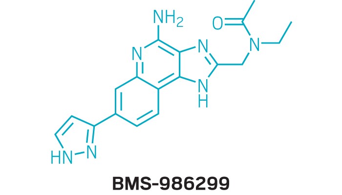 Virtual meeting delivers first time drug structures