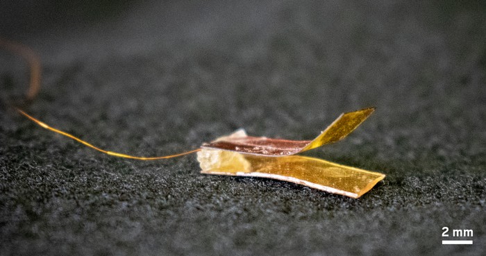 Triboelectric device bypasses injured nerves to restore sense of touch