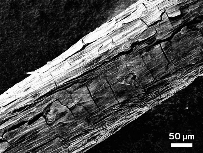 Flexible MXene coatings stay put on any surface