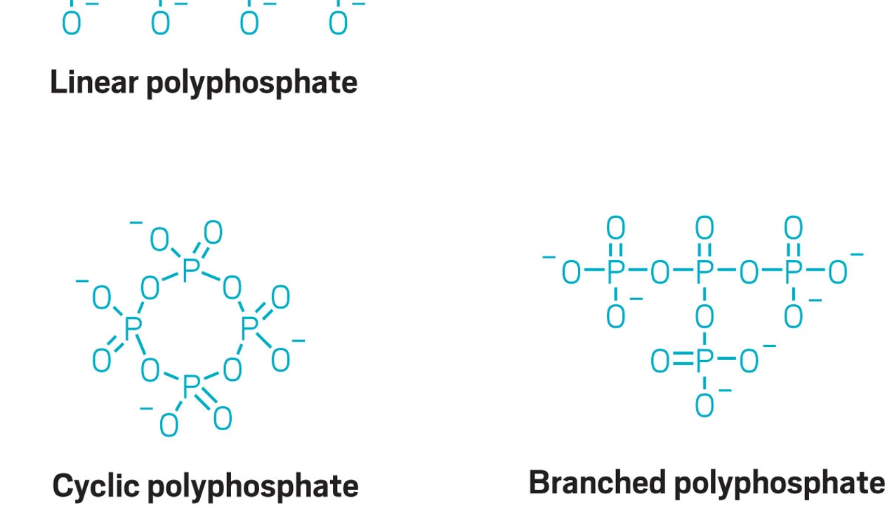 Branched polyphosphates can be stable after all