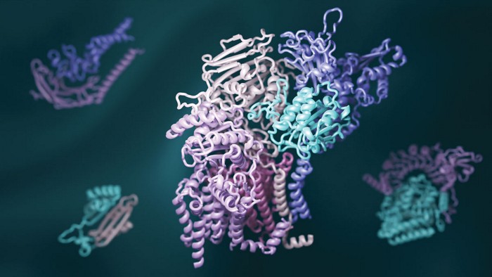 Software predicts more complex protein structures