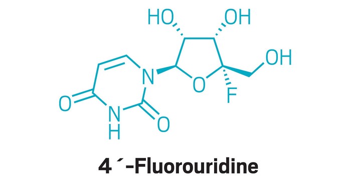 4′-Fluorouridine fights respiratory viruses, including SARS-CoV-2, in ...