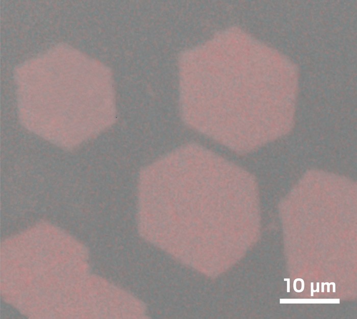 Graphene growth process overcomes high performance electronics logjam