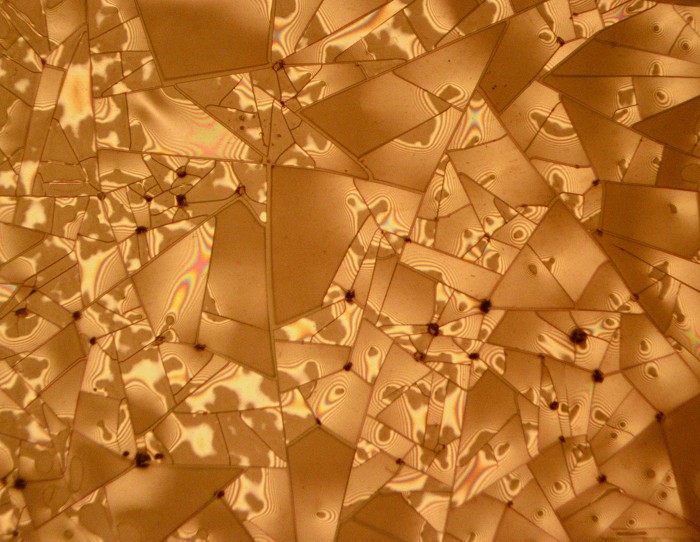 Chemistry in Pictures: Alluring albumin