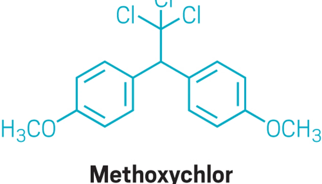 Ban insecticide methoxychlor, global experts recommend