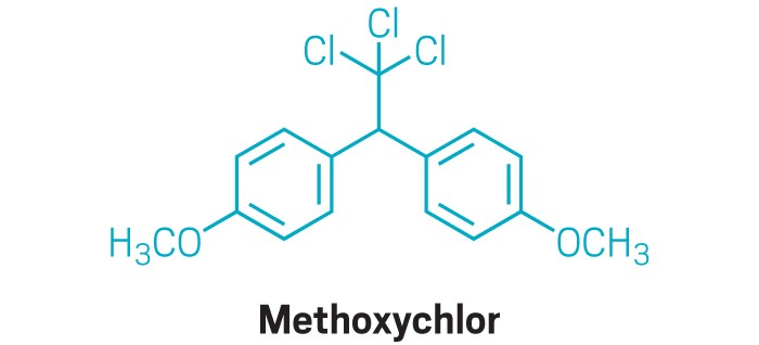 Ban insecticide methoxychlor, global experts recommend