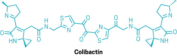 Cancer-related bacterial toxin induces latent viruses to start replicating