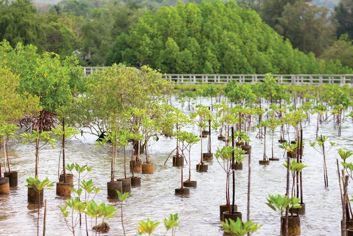 Ecological buffers to climate change are weakening