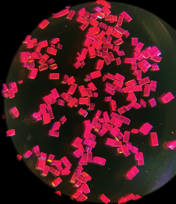 Chemistry in Pictures: Turning red (and pink)