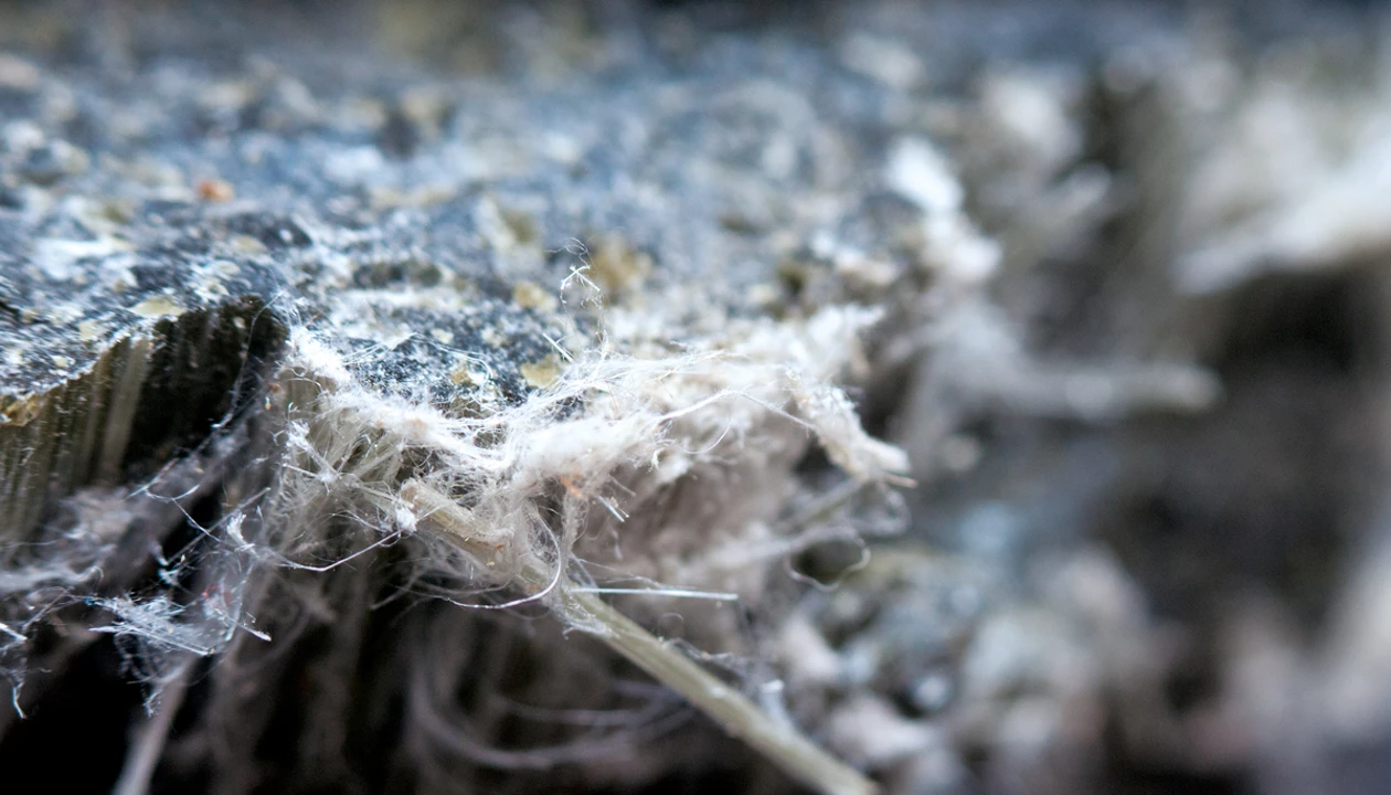 US EPA seeks data on asbestos imports and uses