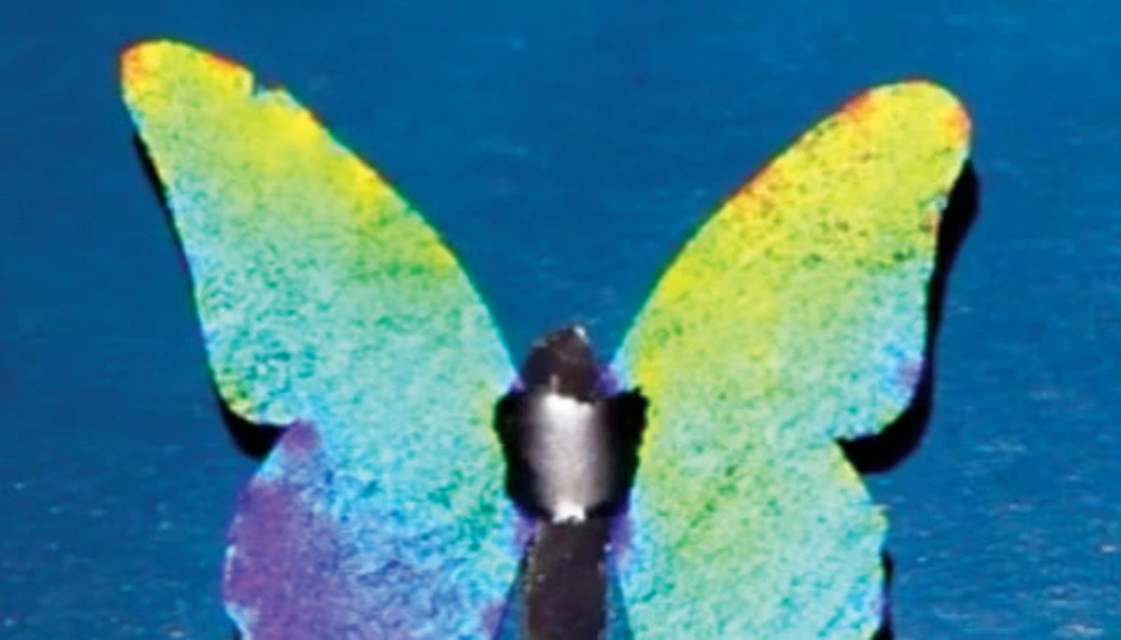 This bionic butterfly changes color as it flaps