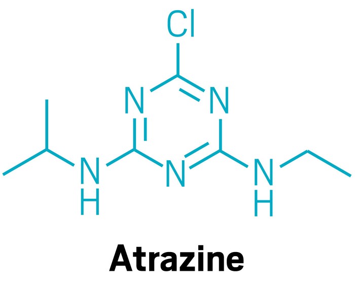 US EPA to impose atrazine restrictions