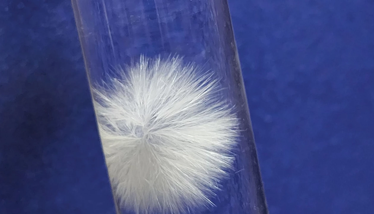 Chemistry in Pictures: Fuzz ball