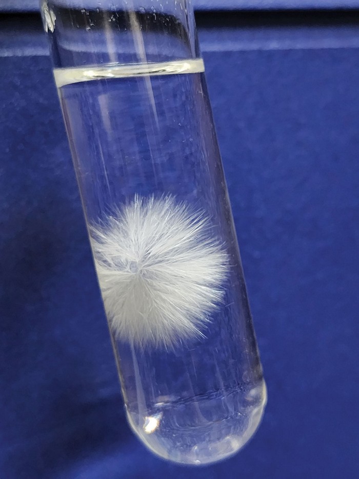 Chemistry in Pictures: Fuzz ball