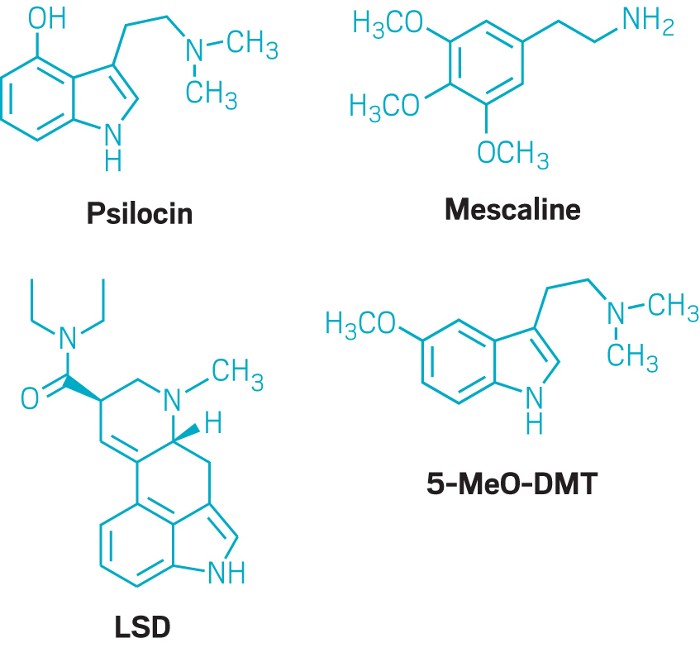Dimethyltryptamine Structure DMT Drug Addiction: What To Know