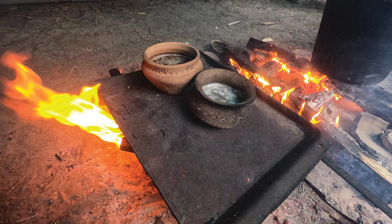 Solvent mixture may help pry protein clues from ancient pots