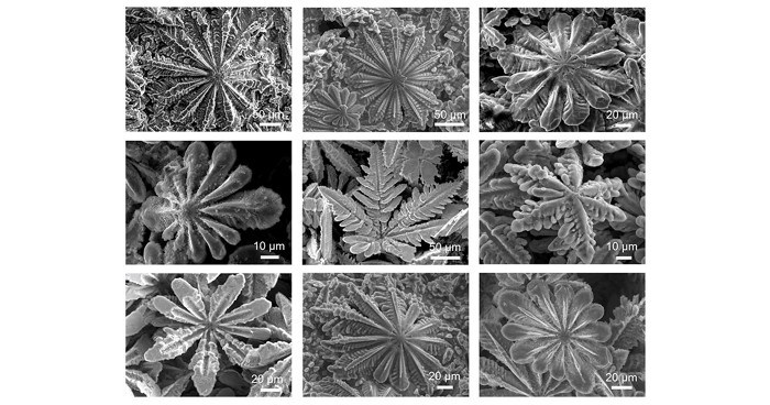 Zinc snowflakes crystallize from a sea of liquid metal