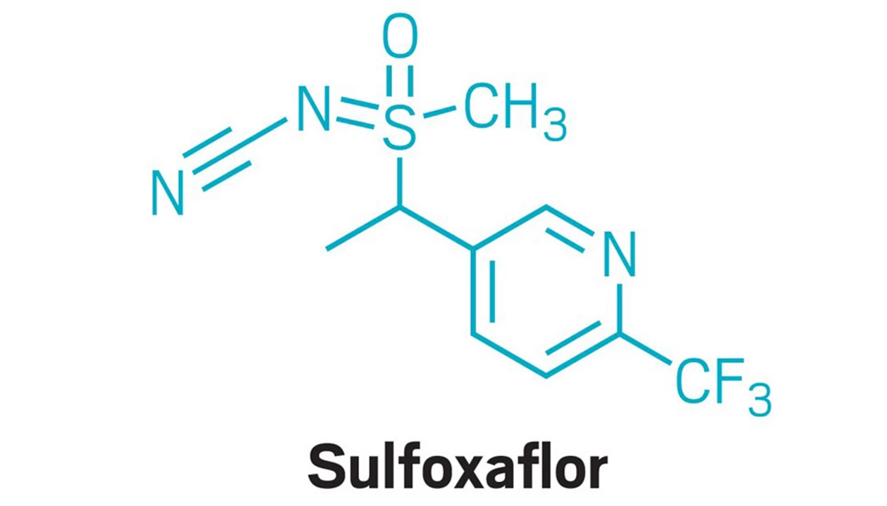 EPA to reconsider sulfoxaflor insecticide risks