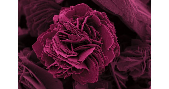 Chemistry in Pictures: Drug delivery in bloom