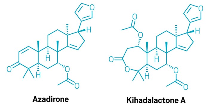 Learning how plants make limonoids