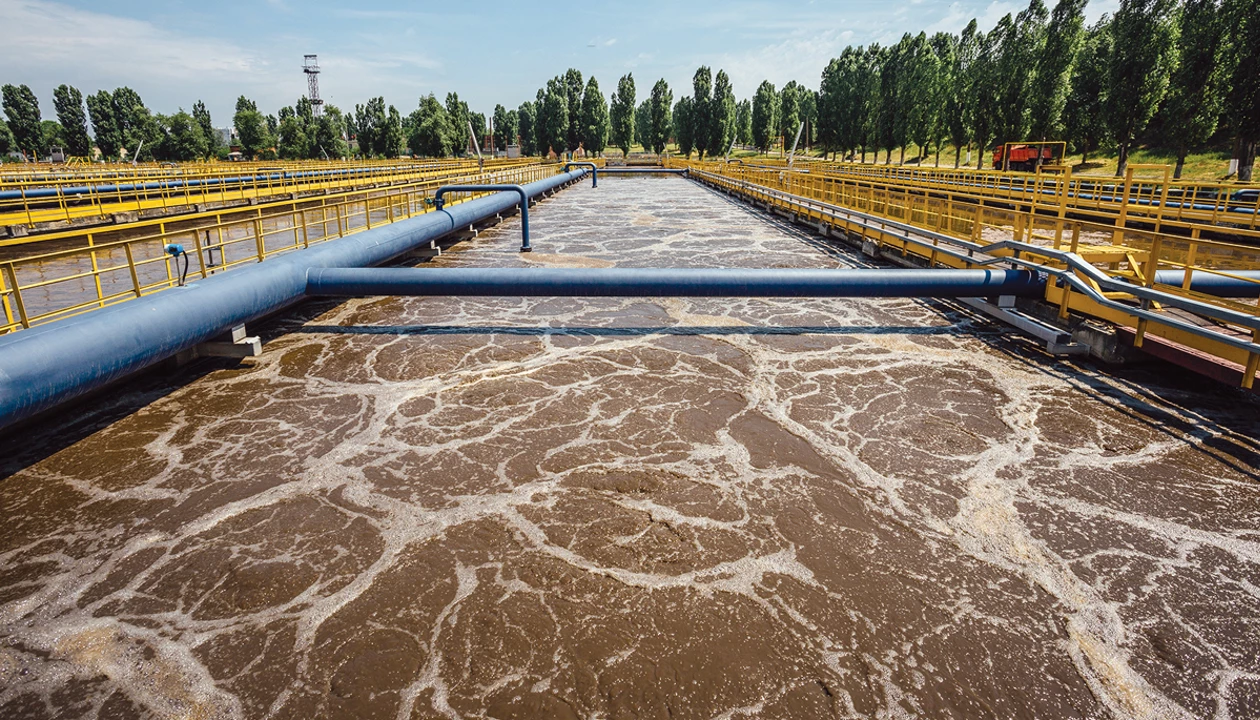 Adding a surfactant to sewage boosts biofuel production
