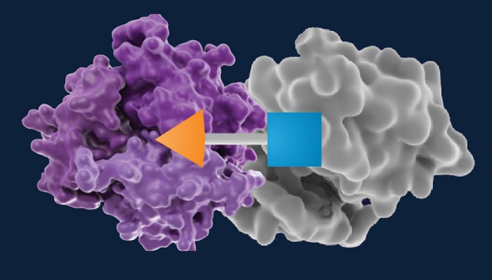 Halda emerges from stealth with bifunctional molecules to treat cancer