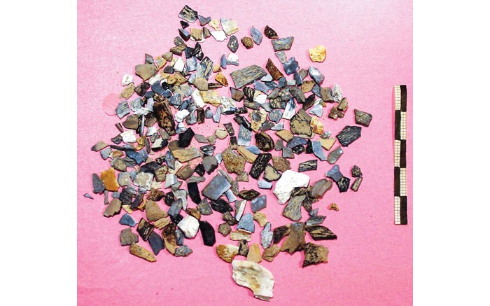 Protein analysis pegs species from tiny bone fragments