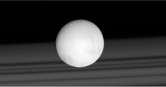 Ice grains from ocean geysers on Enceladus contain phosphates