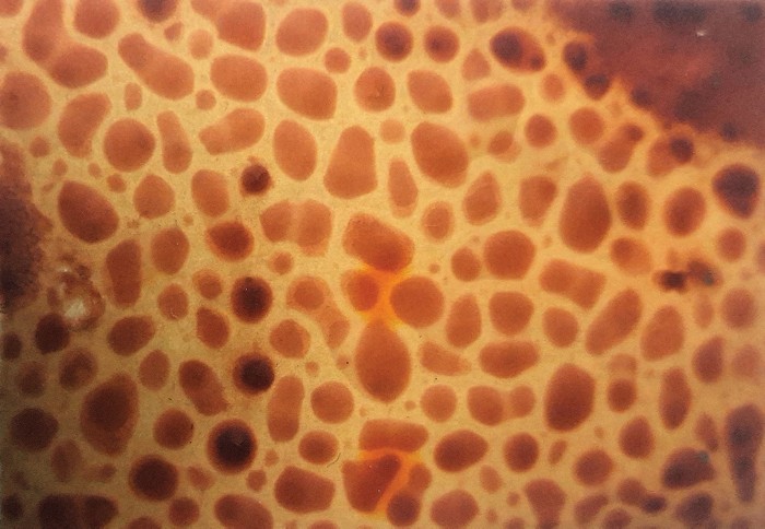 Chemistry in Pictures: How the TLC got its spots