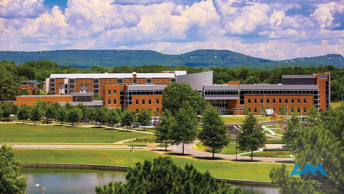 Chemist made-up data in 4 NIH grant applications