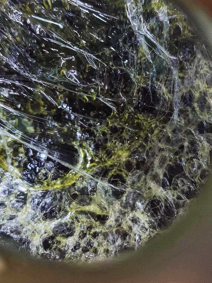 Chemistry in Pictures: Sugar work