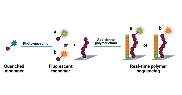 Tracking polymerization with laser focus