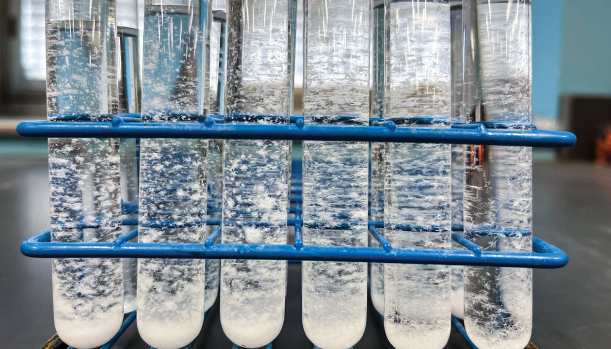 Chemistry in Pictures: Snow globe synthesis