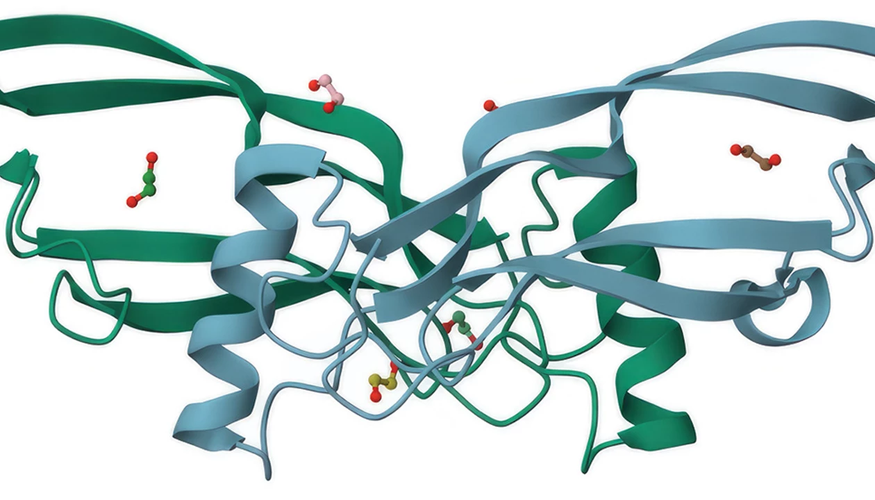 Researchers link fetal hormone to pregnancy nausea