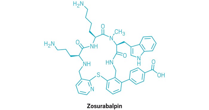 A Macrocyclic Peptide Kills Bacteria By Blocking Lipid Transport