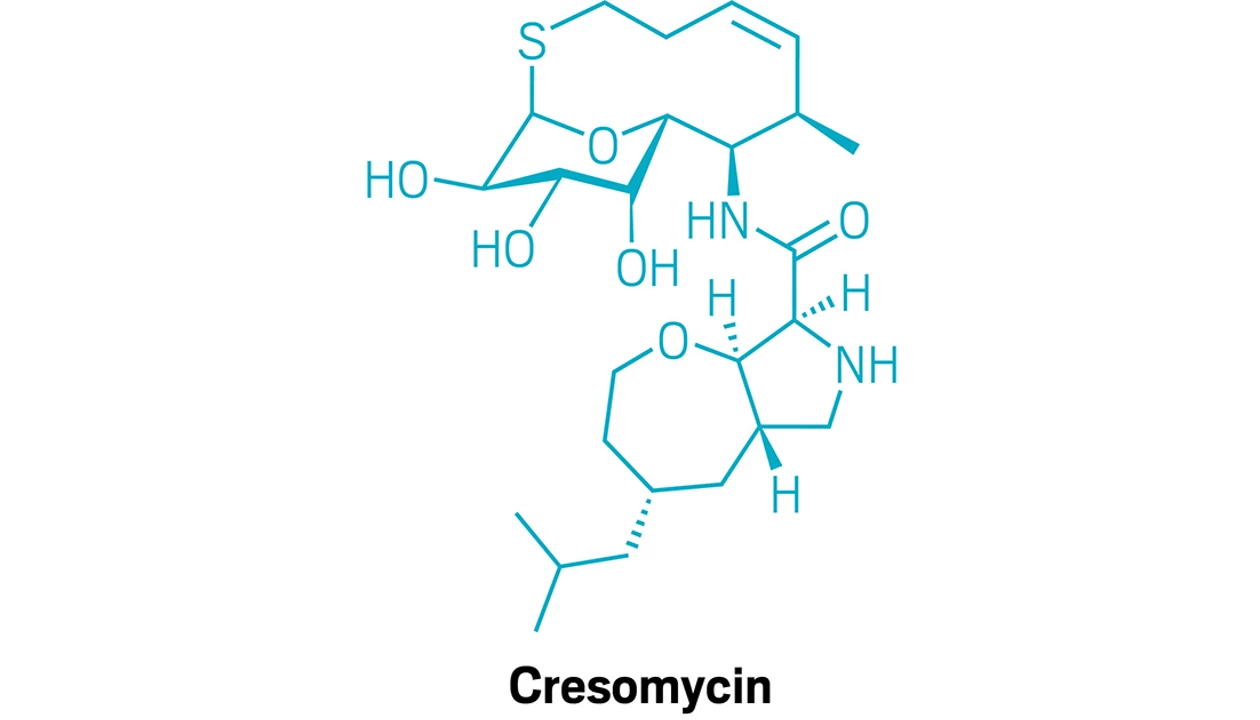 An antibiotic built for better binding