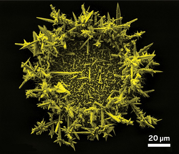 Chemistry in Pictures: Crown of thorns