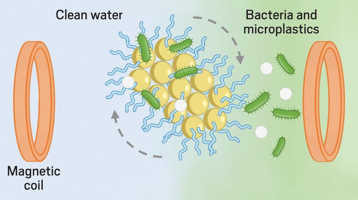 Tiny robots with polymer ‘hands’ capture bacteria and microplastics in ...