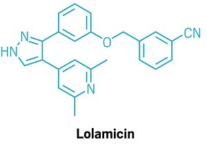 Structure Of A Bacteria