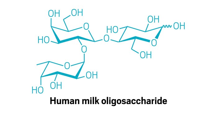 Engineered plants make human milk compounds