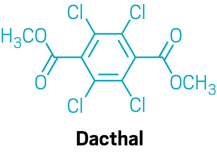 EPA yanks pesticide Dacthal from US market