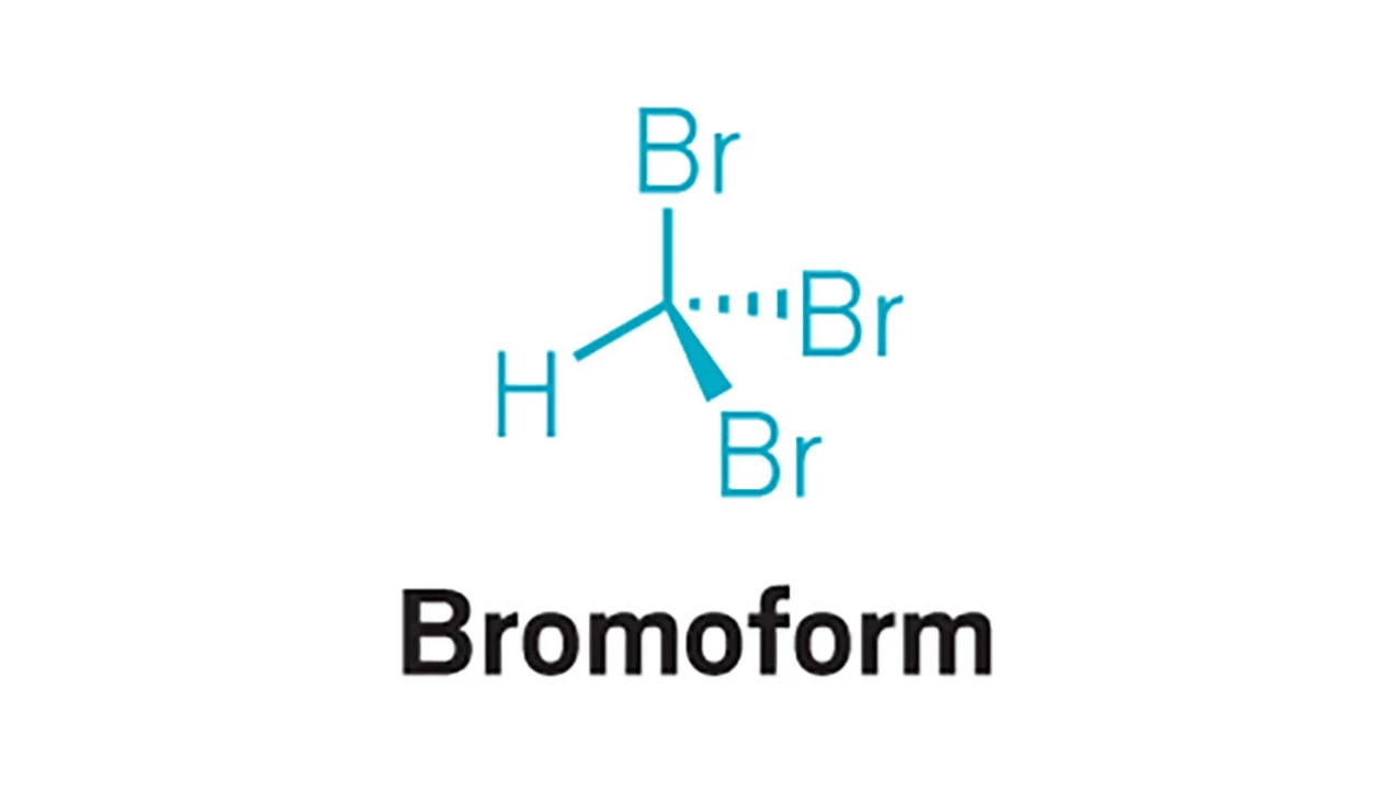 Cellular engineers seek to boost bromoform in seaweed