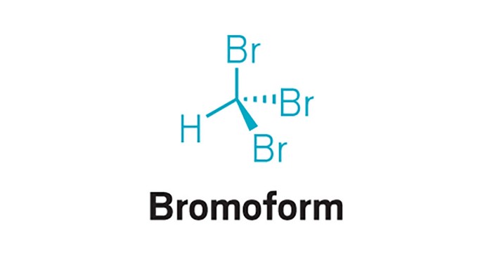 Cellular engineers seek to boost bromoform in seaweed