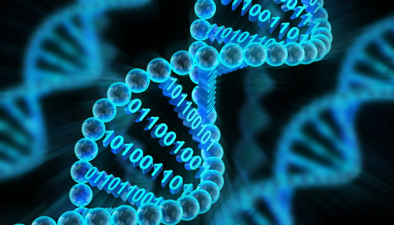 Researchers build a rudimentary DNA-based computer