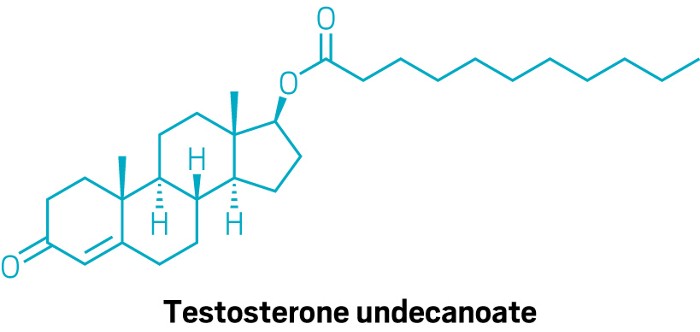 Immunity in transgender men illuminates role of testosterone