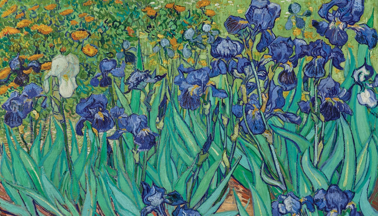 The vanishing violet in van Gogh’s Irises