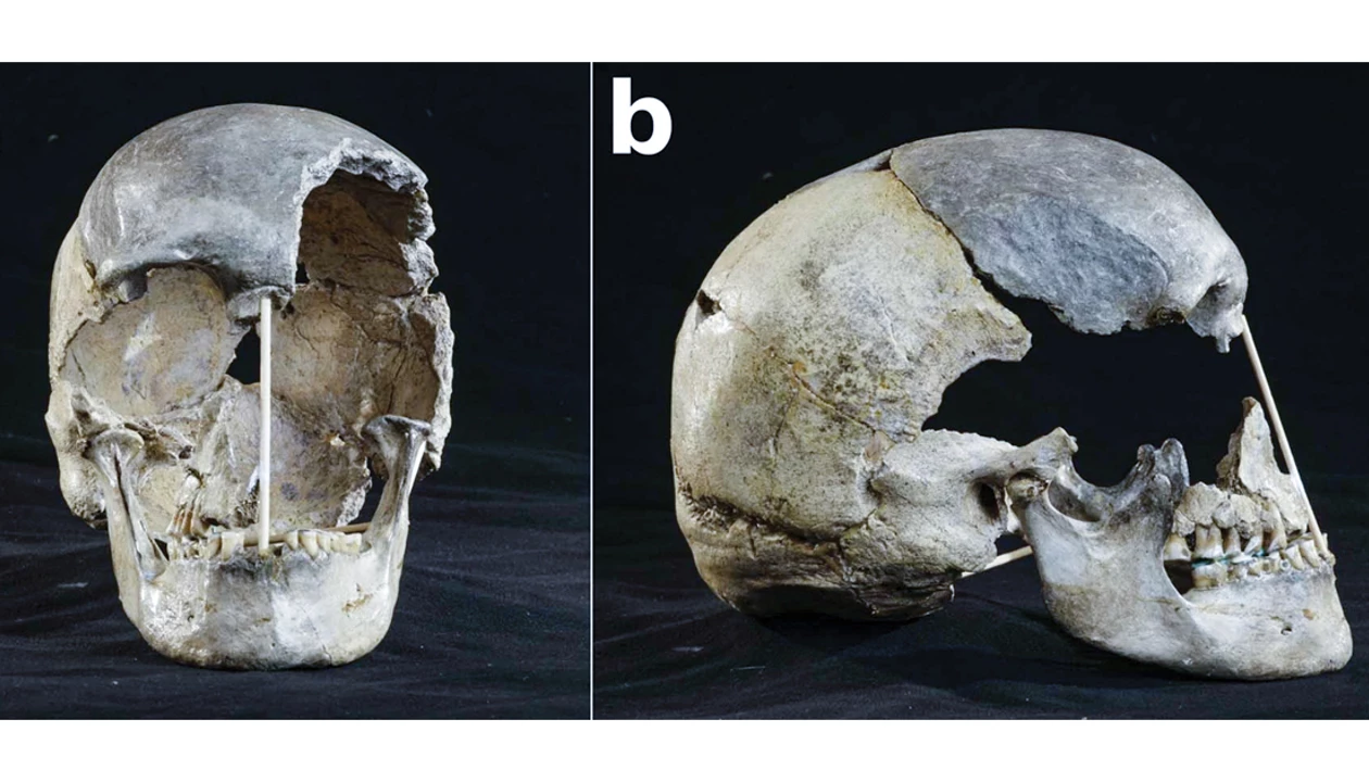 Humans and Neanderthals interbred, and scientists now know when
